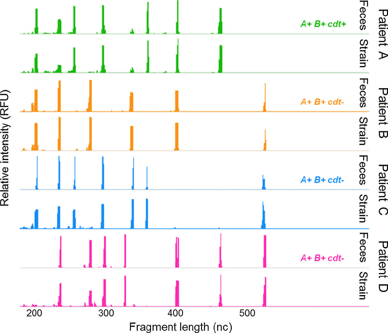 Simultaneous detection and ribotyping of Clostridioides difficile, and ...
