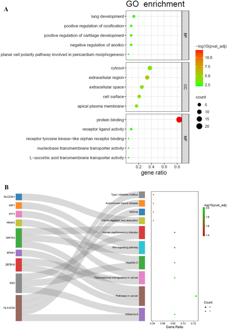 Identification of candidate aberrant differentially methylated/expressed genes in asthma - PMC