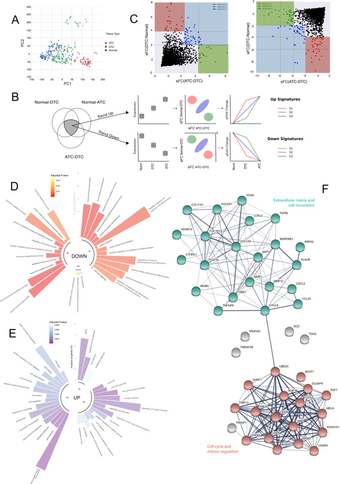Adding pieces to the puzzle of differentiated-to-anaplastic thyroid cancer evolution: the ...