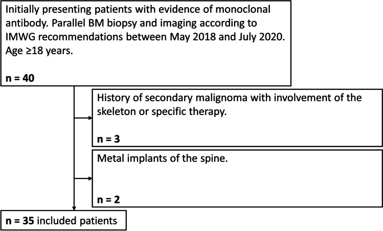 Feasibility of artificial intelligence–supported assessment of bone ...