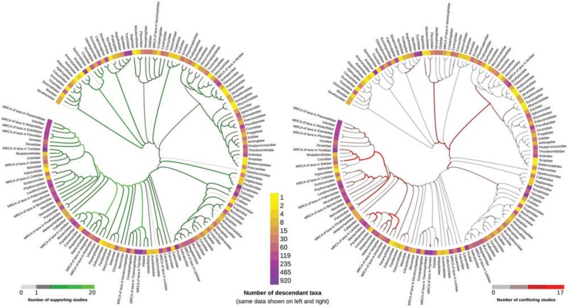 OpenTree: A Python Package for Accessing and Analyzing Data from the Open Tree of Life - PMC