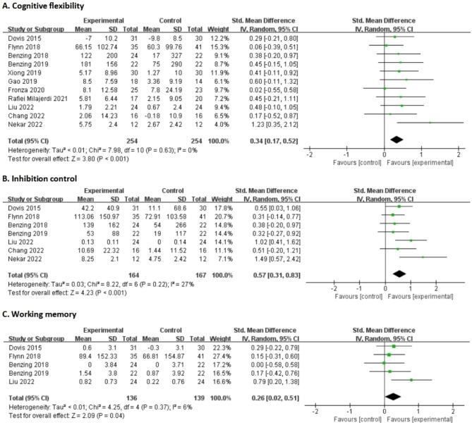 Effects of exergaming on executive functions of children: a systematic review and meta-analysis ...