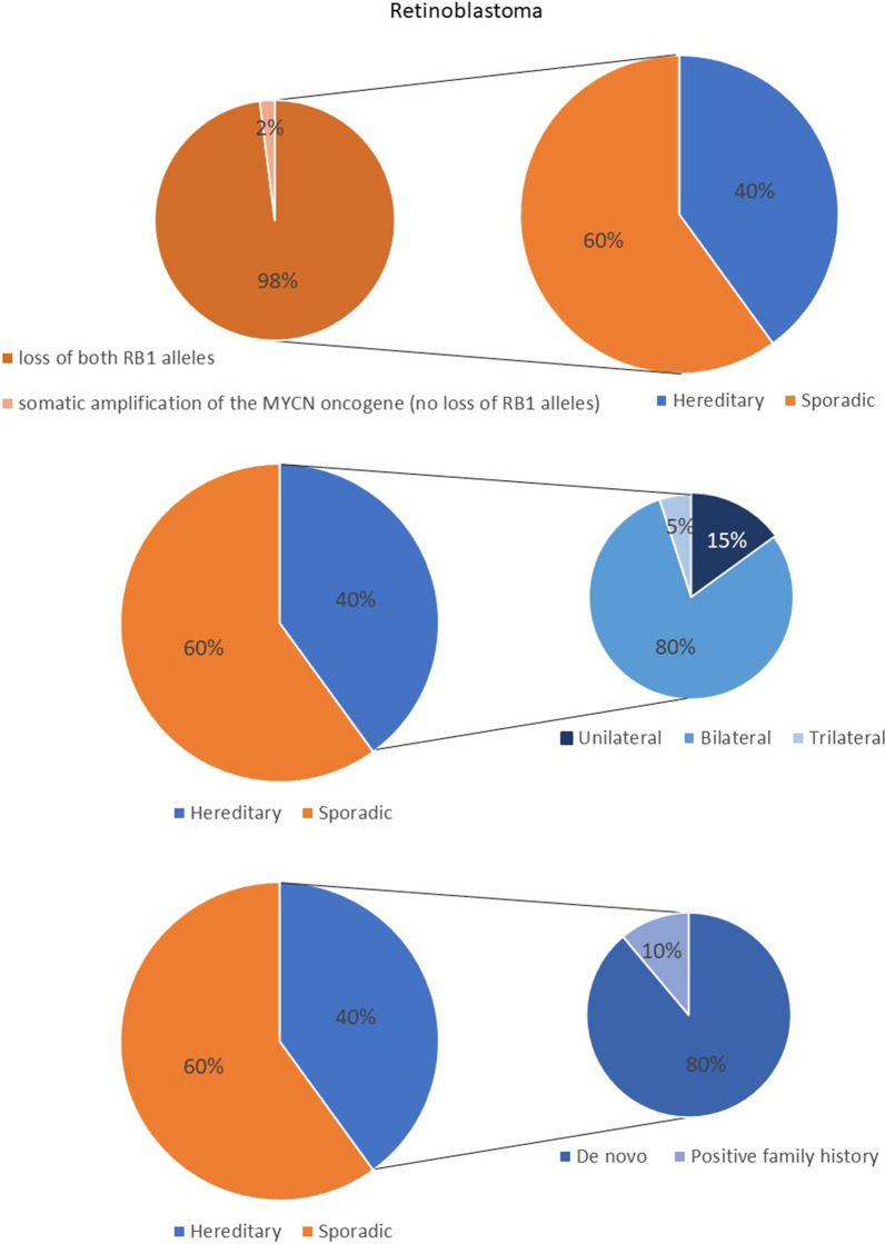 Genetics in ophthalmology: molecular blueprints of retinoblastoma - PMC