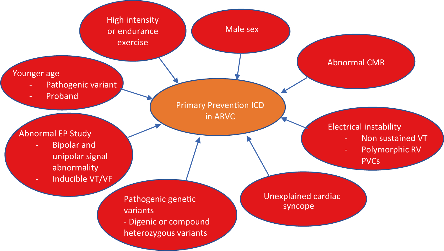 Running The Risk Exercise And Arrhythmogenic Cardiomyopathy Pmc