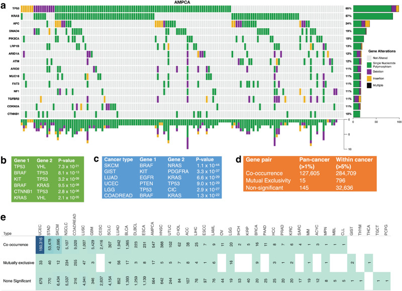Mutational landscape of cancer-driver genes across human cancers - PMC
