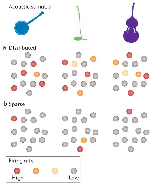 The what, where and how of auditory-object perception - PMC