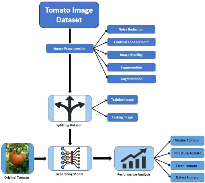 An extensive real-world in field tomato image dataset involving maturity classification and ...