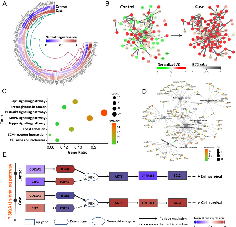 Revealing underlying regulatory mechanisms of LINC00313 in Osimertinib ... Revealing underlying regulatory mechanisms of LINC00313 in Osimertinib ...