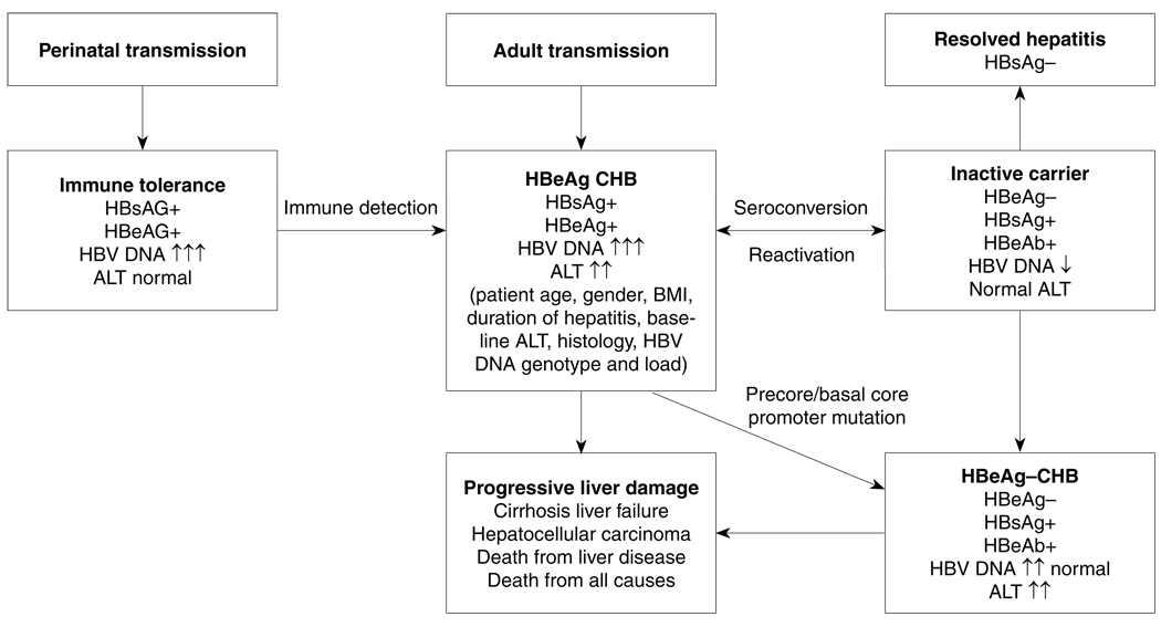 HIV and Hepatitis B Virus Coinfection: Approach to Management: Case ...