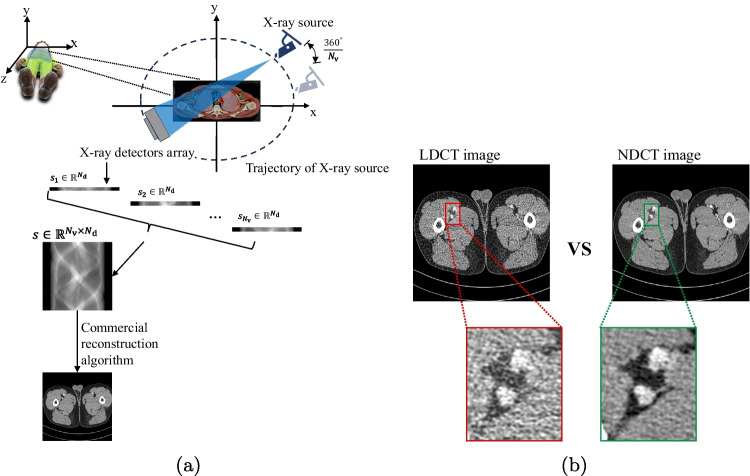 Unsupervised and Self-supervised Learning in Low-Dose Computed Tomography Denoising: Insights ...