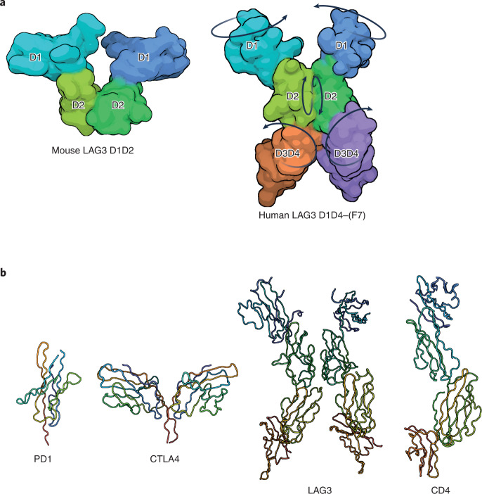 Overcoming the LAG3 phase problem - PMC