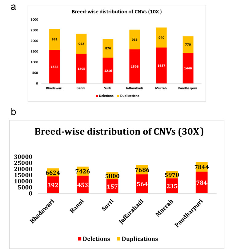 Read-depth based approach on whole genome resequencing data reveals important insights into the ...