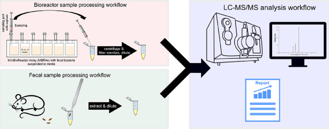 A high-throughput LC-MS/MS method for the measurement of the bile acid/salt content in ...