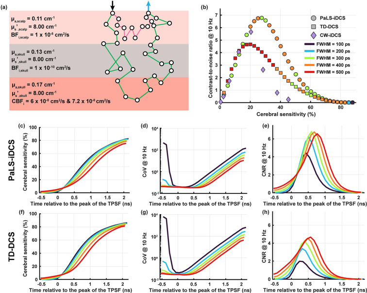 Pathlength-selective, interferometric diffuse correlation spectroscopy (PaLS-iDCS) - PMC