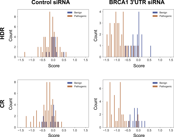 The functional impact of BRCA1 BRCT domain variants using multiplexed DNA double-strand break ...