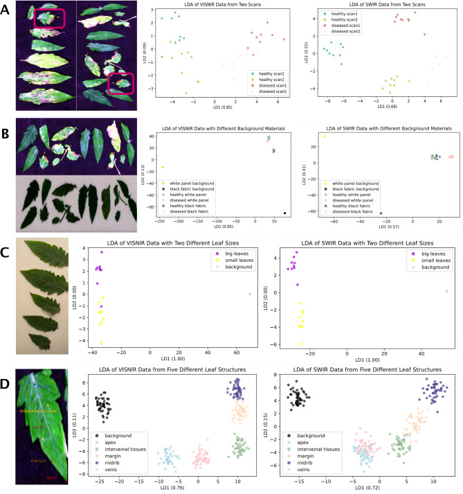 Hyperspectral imaging analysis for early detection of tomato bacterial leaf spot disease - PMC