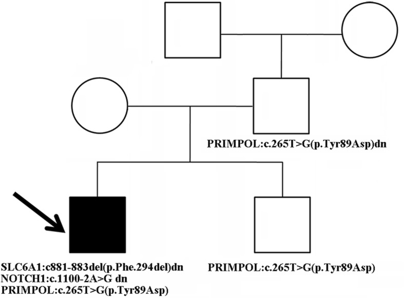 Concurrent pathogenic variants in SLC6A1/NOTCH1/PRIMPOL genes in a Chinese patient with ...