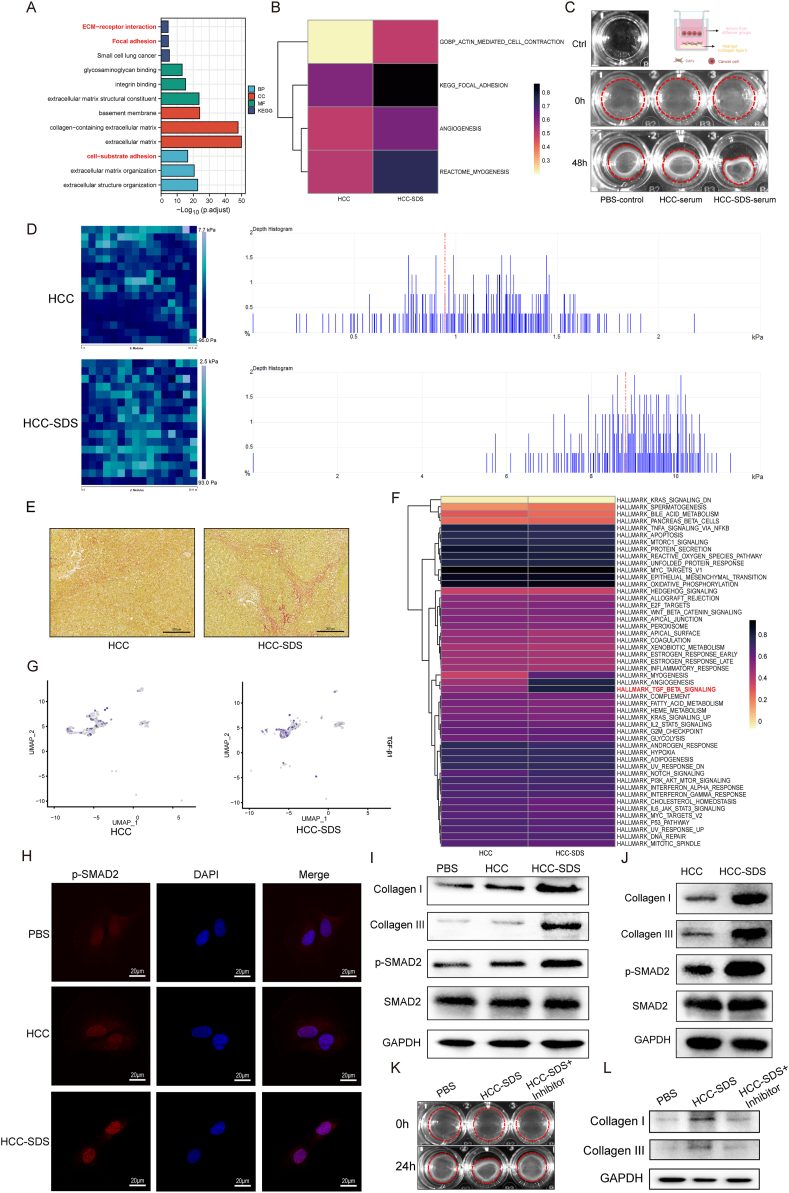 Integrating single-cell and spatial transcriptomics to elucidate the crosstalk between cancer ...