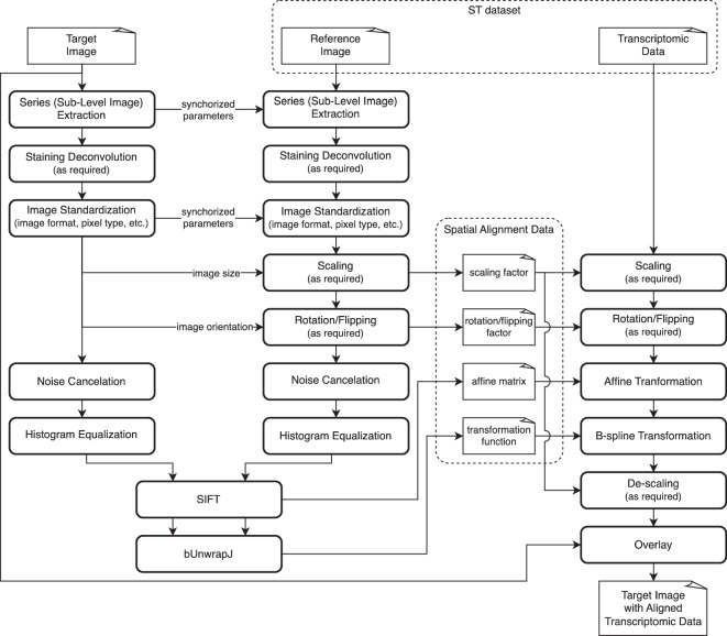 Integrative whole slide image and spatial transcriptomics analysis with QuST and QuPath - PMC