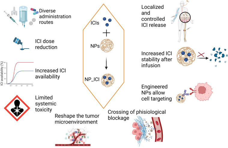 Nanomaterials And Immune Checkpoint Inhibitors In Cancer Immunotherapy