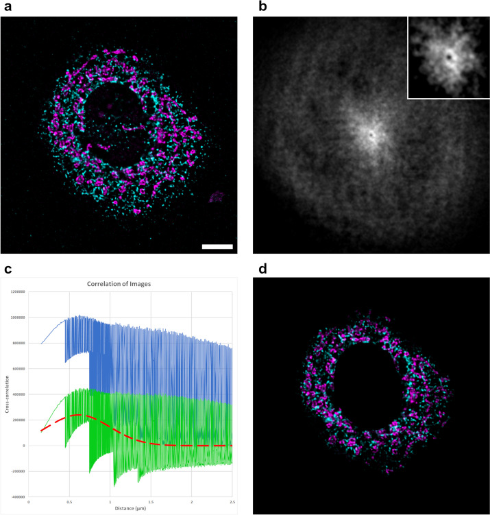Colocalization by cross-correlation, a new method of colocalization suited for super-resolution ...