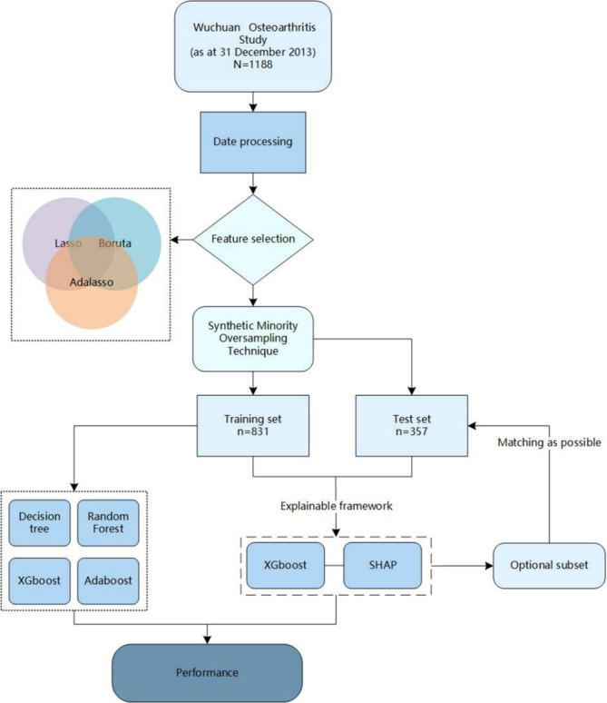 XGBoost-SHAP-based interpretable diagnostic framework for knee osteoarthritis: a population ...