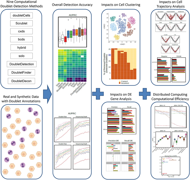 Benchmarking computational doublet-detection methods for single-cell RNA sequencing data - PMC