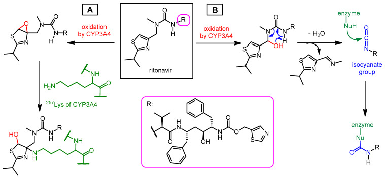 The Design, Synthesis and Mechanism of Action of Paxlovid, a Protease ... The Design, Synthesis and Mechanism of Action of Paxlovid, a Protease ...