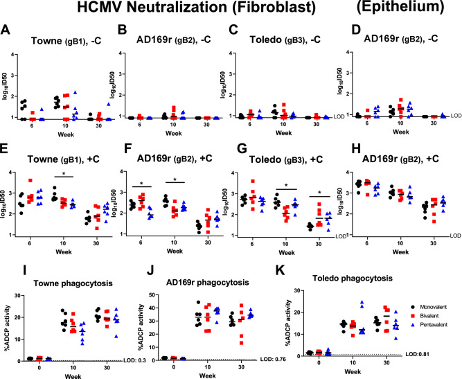 Multivalent cytomegalovirus glycoprotein B nucleoside modified mRNA ... Multivalent cytomegalovirus glycoprotein B nucleoside modified mRNA ...