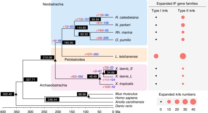 Genomic and transcriptomic insights into molecular basis of sexually dimorphic nuptial spines in ...