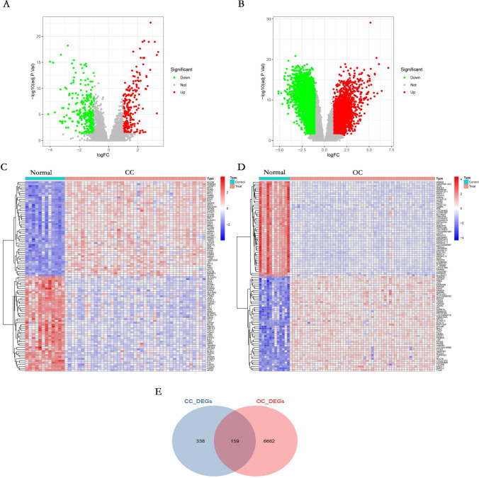 Exploration of the shared pathways and common biomarkers in cervical ...