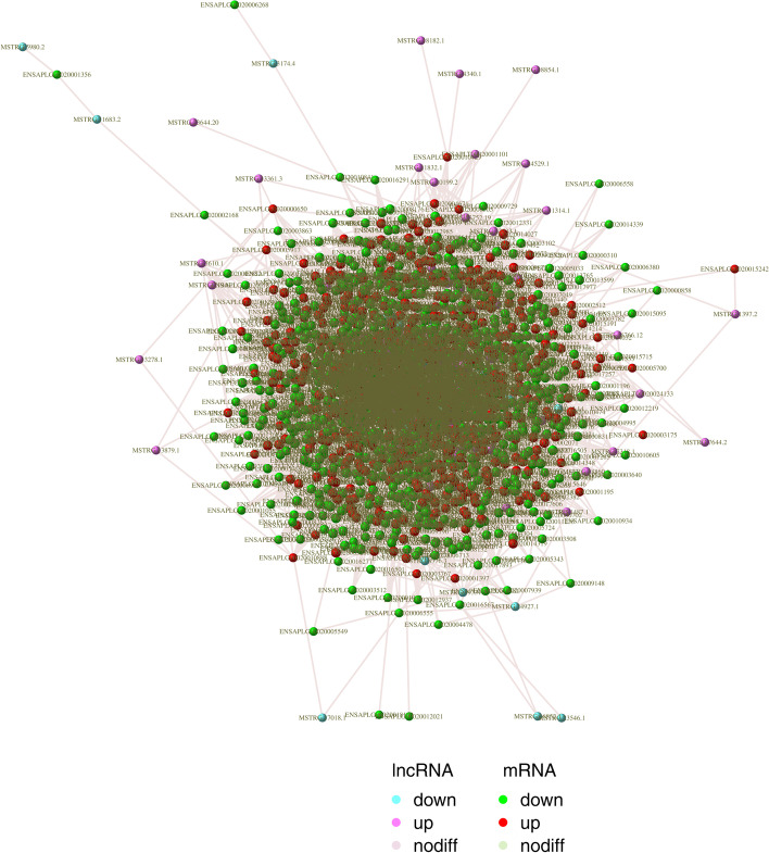 Differential expression profile and in-silico functional analysis of long noncoding RNA and mRNA ...