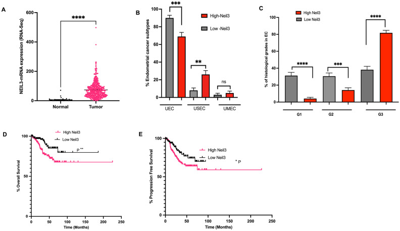 DNA glycosylase (NEIL3) overexpression associated with low tumor immune infiltration and poor ...