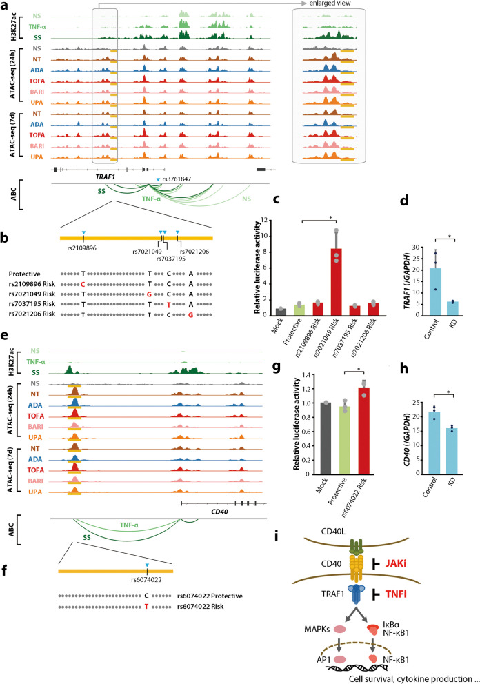 Epigenetic targets of Janus kinase inhibitors are linked to genetic risks of rheumatoid ...
