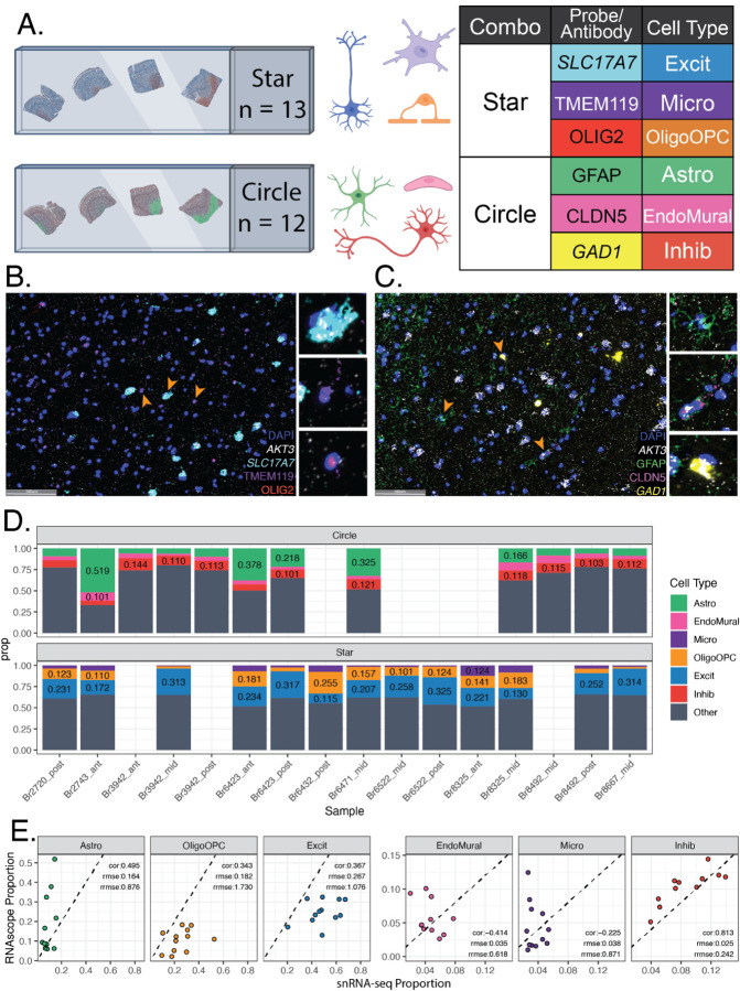 Benchmark of cellular deconvolution methods using a multi-assay reference dataset from ...