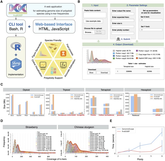findGSEP: estimating genome size of polyploid species using k-mer ...