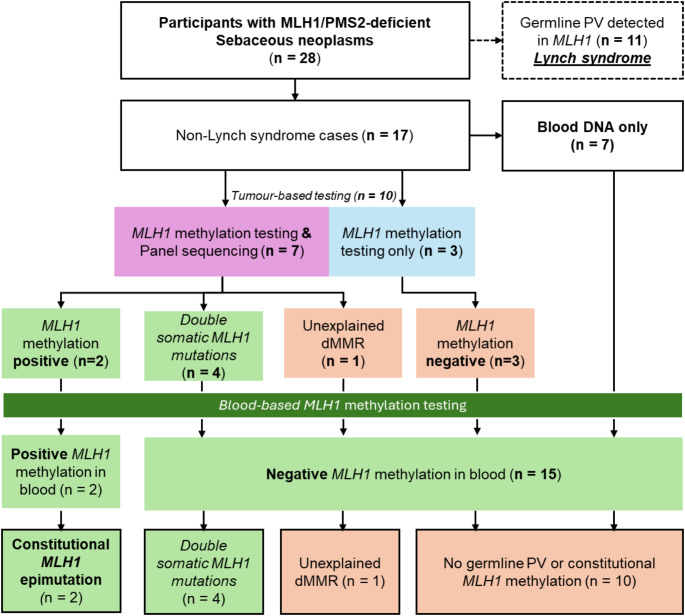 Causes of DNA mismatch repair deficiency in sebaceous skin lesions demonstrating loss of MLH1 ...