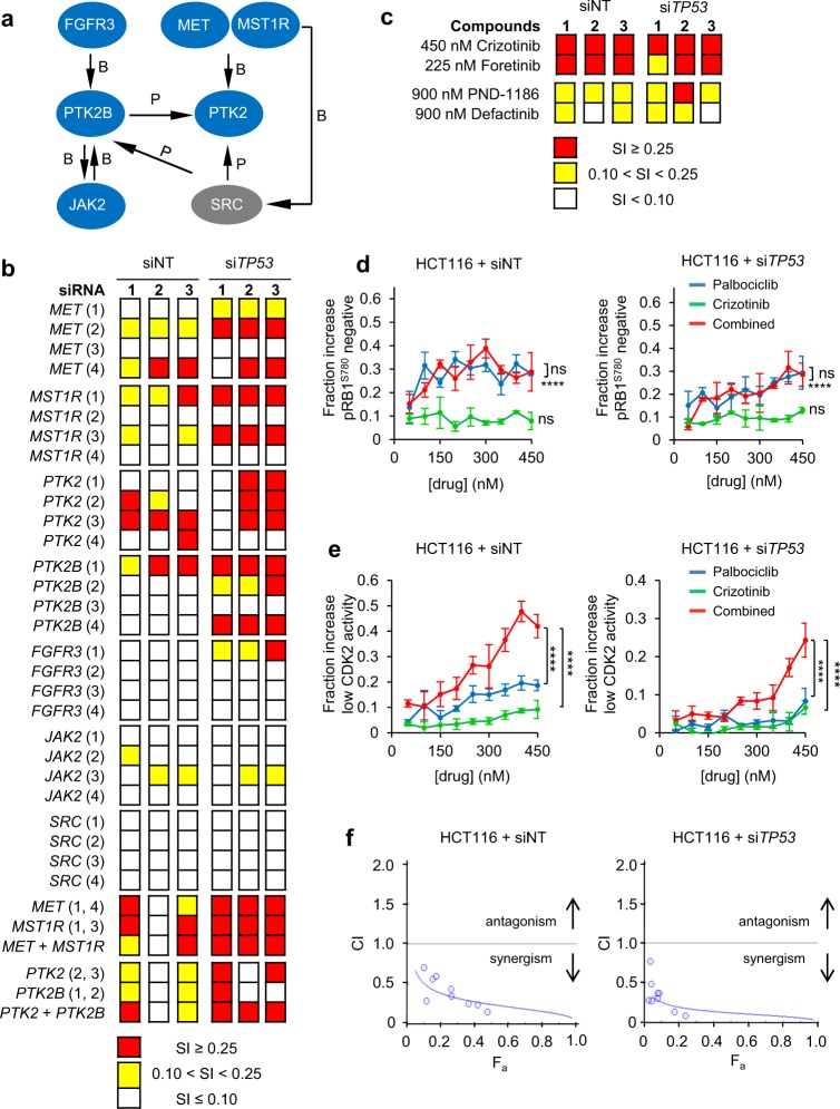 Signalling involving MET and FAK supports cell division independent of the activity of the cell ...