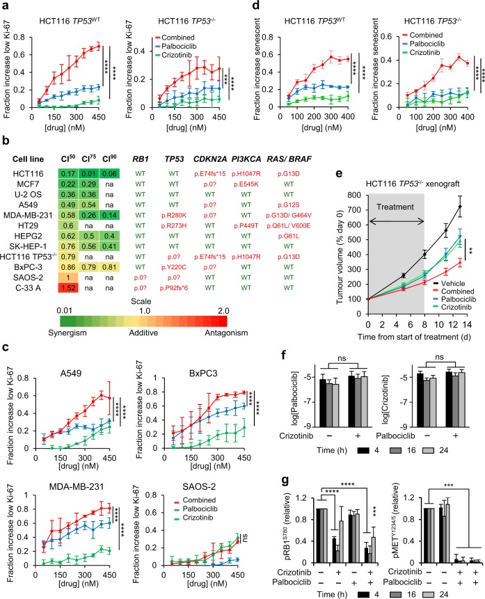 Signalling involving MET and FAK supports cell division independent of the activity of the cell ...