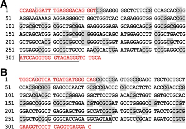 The hypermethylation of p16 gene exon 1 and exon 2: potential ...
