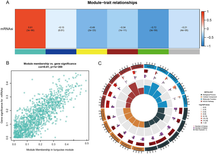 scRNA-seq revealed high stemness epithelial malignant cell clusters and ...
