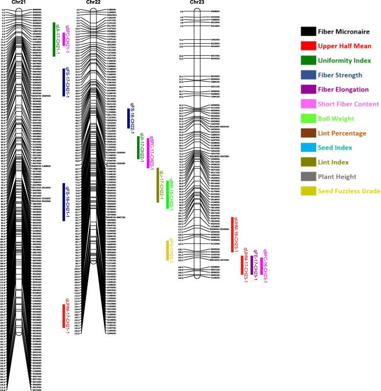 High-density linkage map construction and QTL analyses for fiber quality, yield and ...