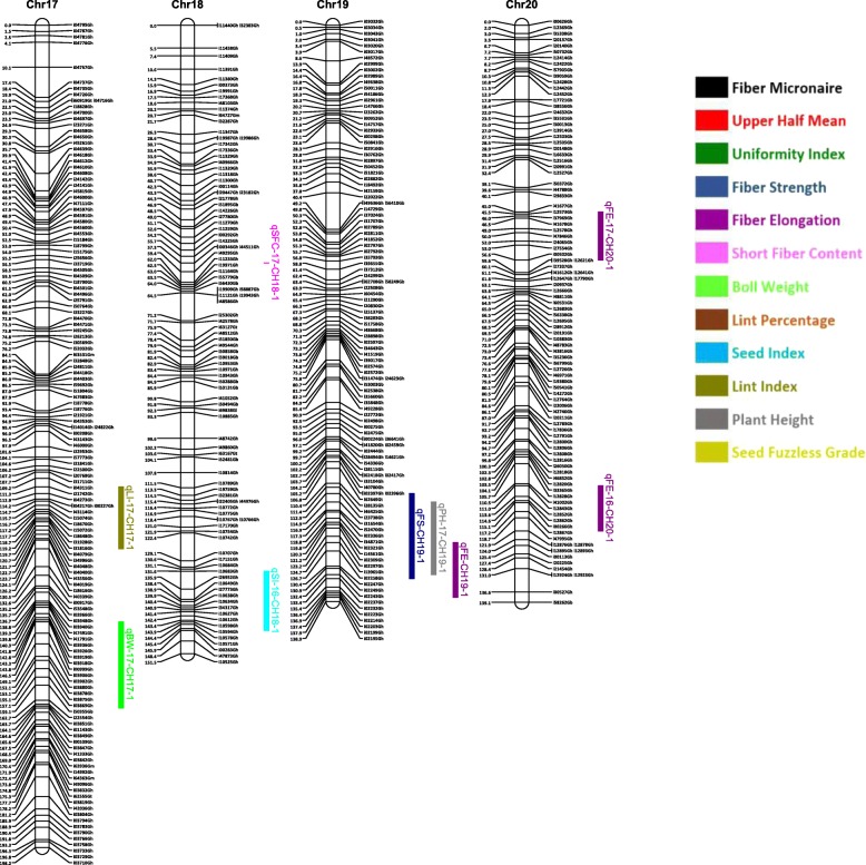 High-density linkage map construction and QTL analyses for fiber quality, yield and ...