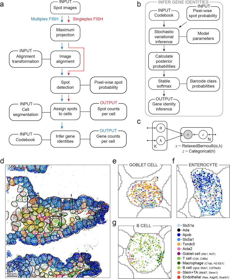 Accurate single-molecule spot detection for image-based spatial transcriptomics with weakly ...