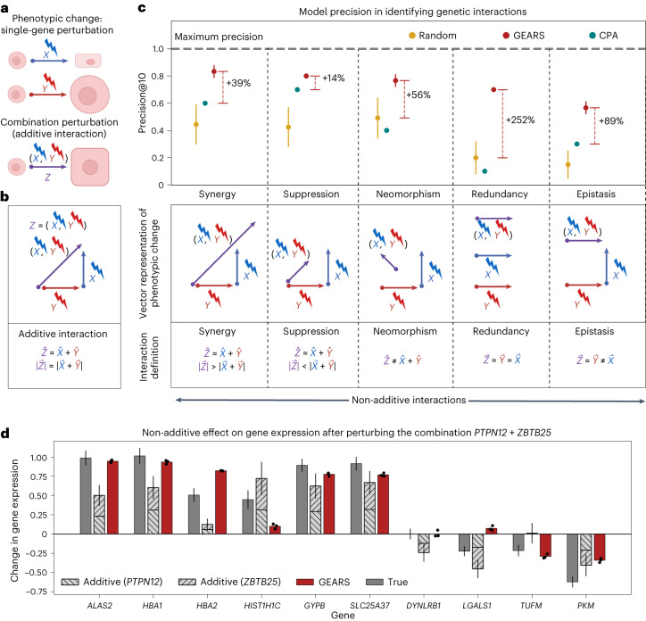 Predicting transcriptional outcomes of novel multigene perturbations with GEARS - PMC