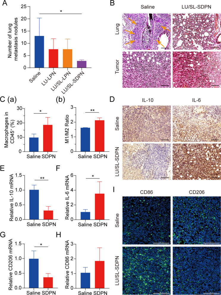 Oral membrane-biomimetic nanoparticles for enhanced endocytosis and regulation of tumor ...