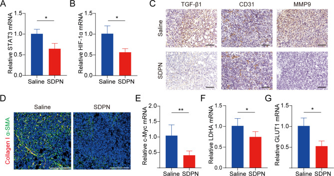 Oral membrane-biomimetic nanoparticles for enhanced endocytosis and regulation of tumor ...