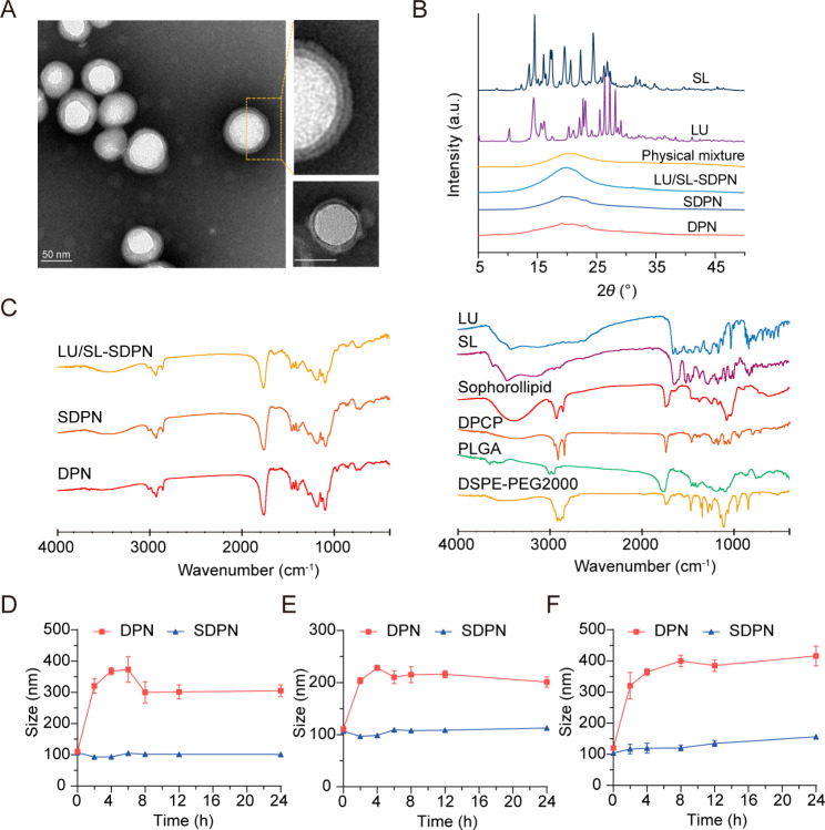 Oral membrane-biomimetic nanoparticles for enhanced endocytosis and regulation of tumor ...