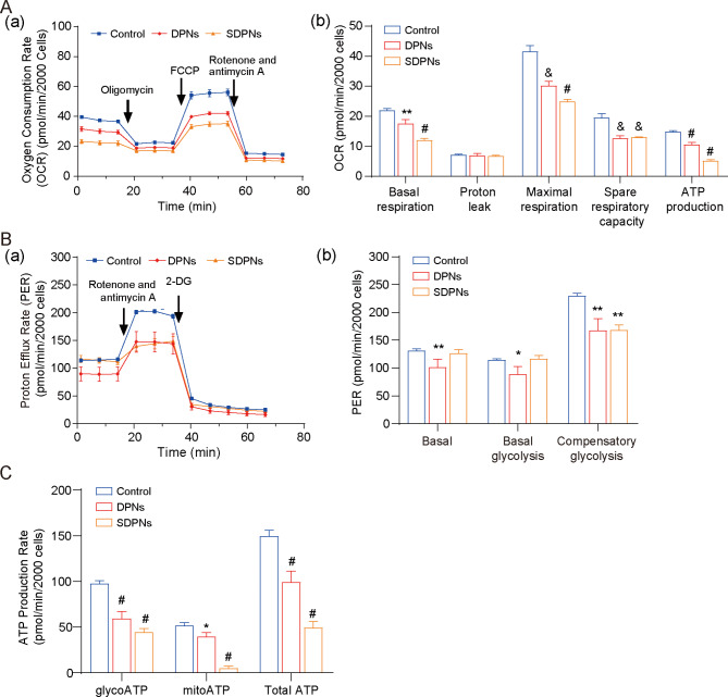 Oral membrane-biomimetic nanoparticles for enhanced endocytosis and regulation of tumor ...