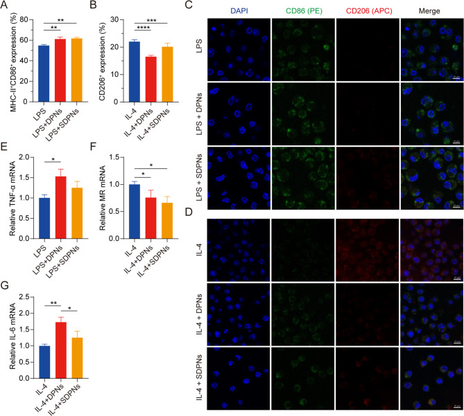 Oral membrane-biomimetic nanoparticles for enhanced endocytosis and regulation of tumor ...
